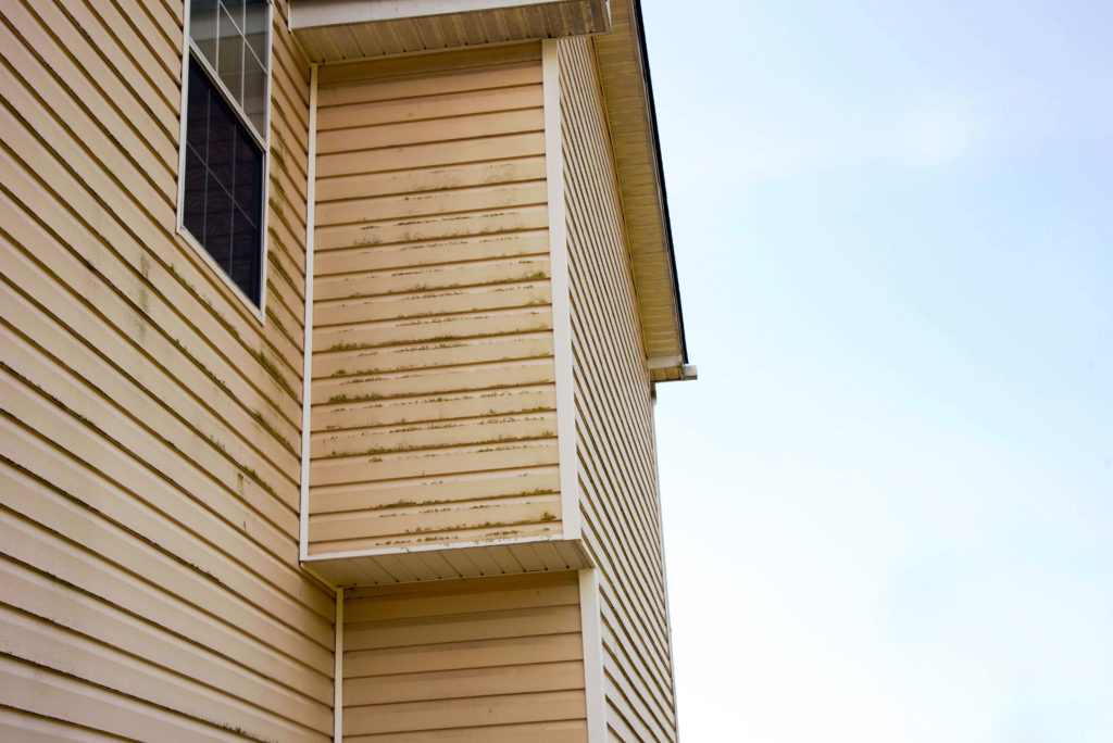Wood Damage – Bay Area Siding and Decking Concepts